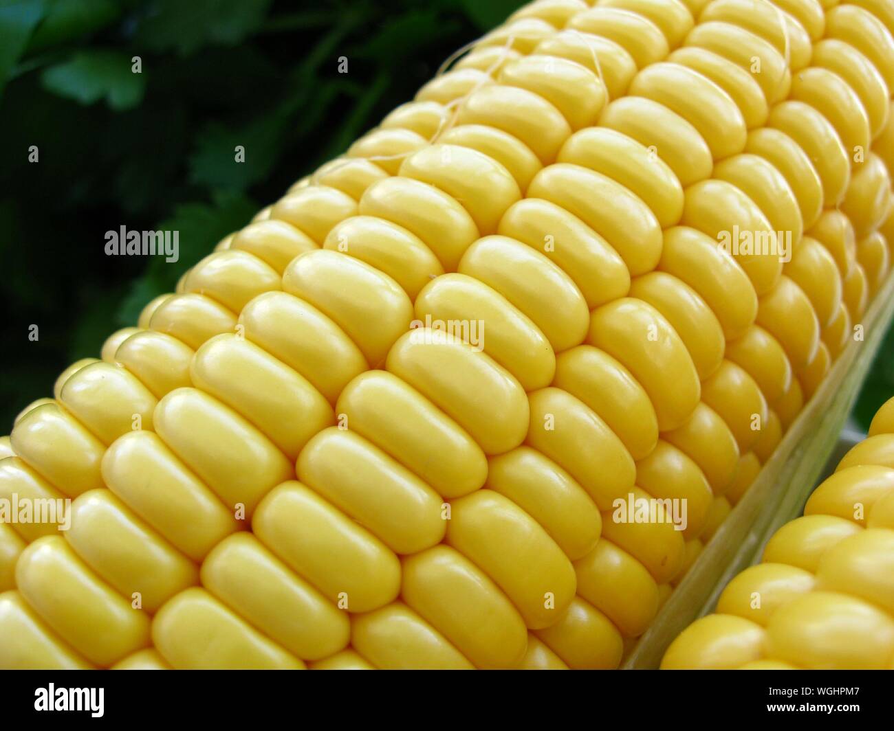Close up sweetcorn hi-res stock photography and images - Alamy