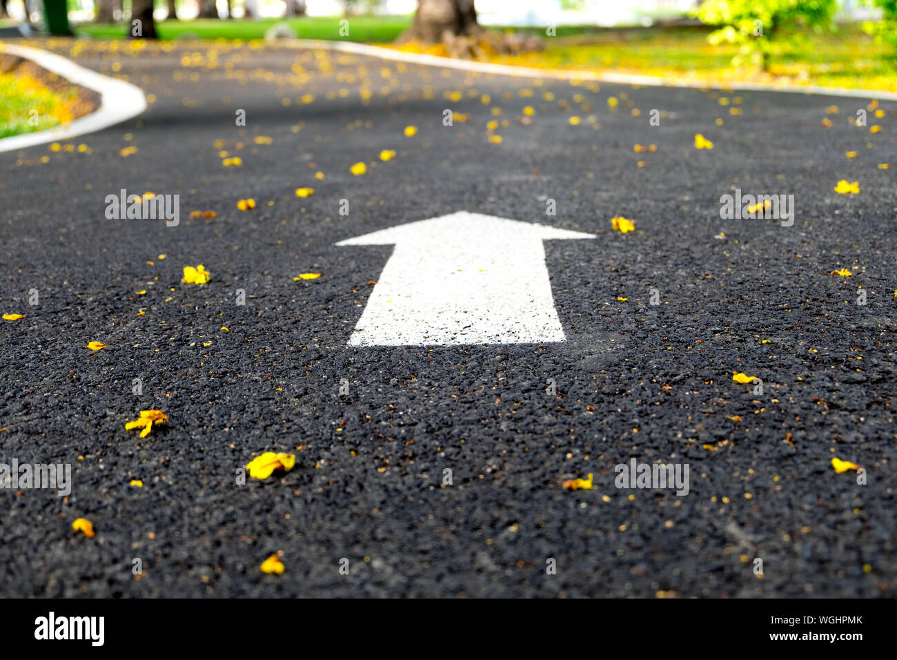 Up the alley hi-res stock photography and images - Alamy