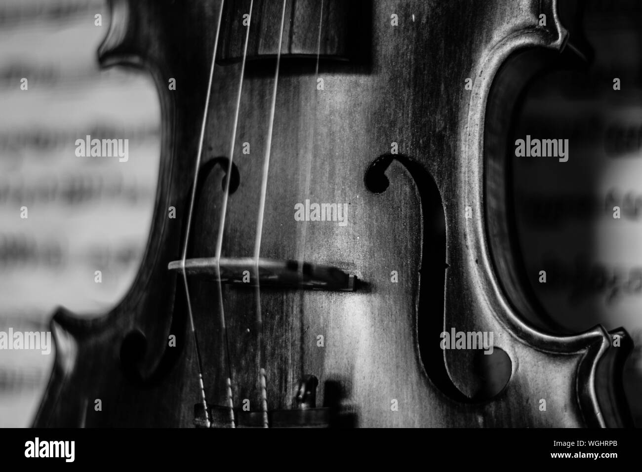 Cello Black and White Stock Photos & Images - Alamy