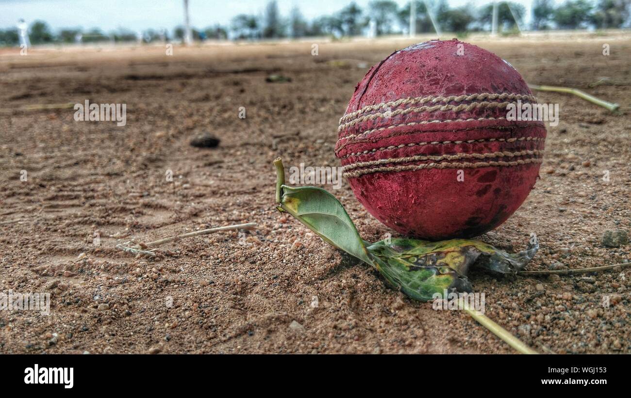 Close up cricket ball hi-res stock photography and images - Alamy