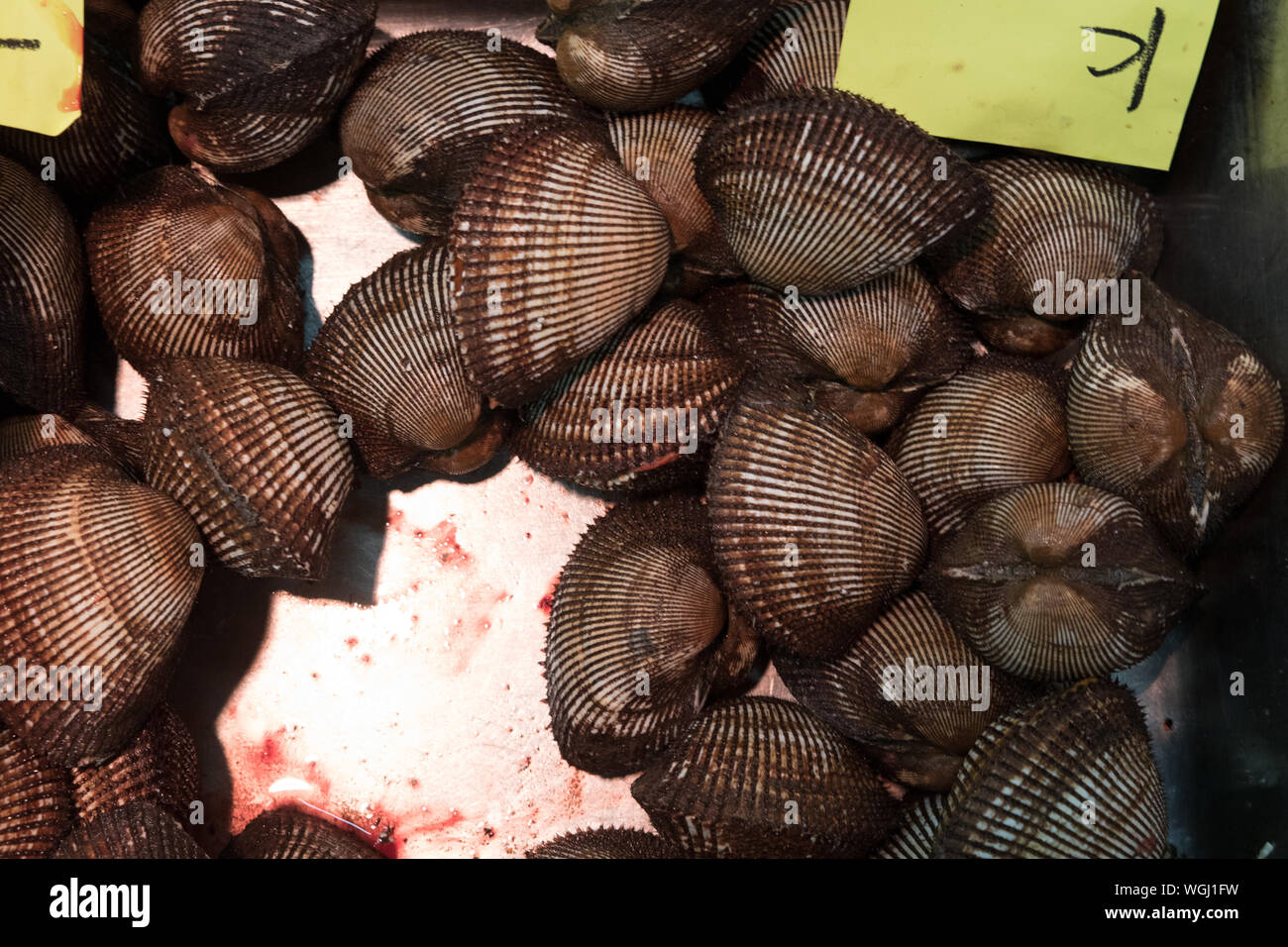Shell_fish hi-res stock photography and images - Alamy