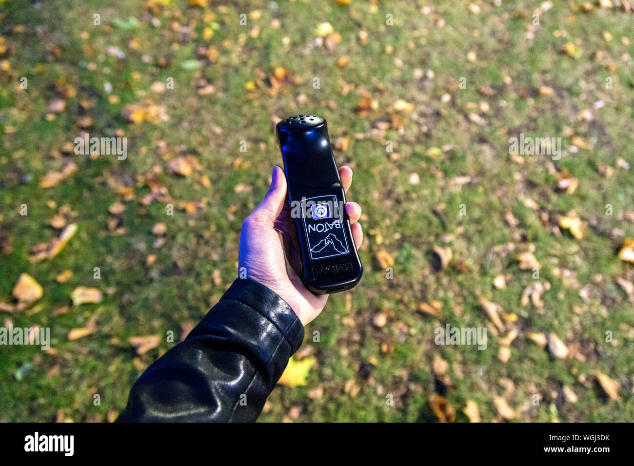 Hand holding a bat detector on a bat walk in the park, London, UK Stock ...