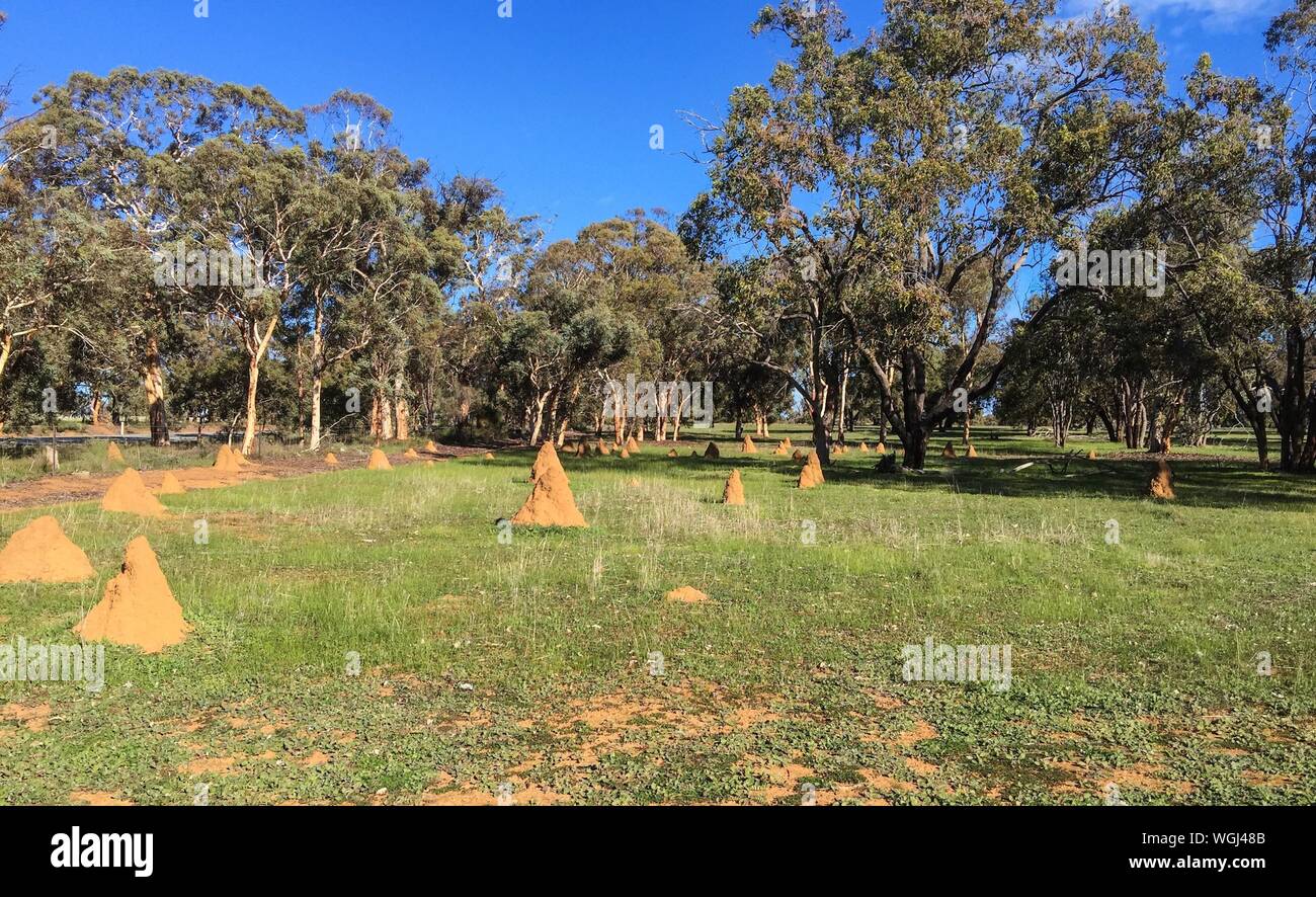 Soil mounds hi-res stock photography and images - Alamy