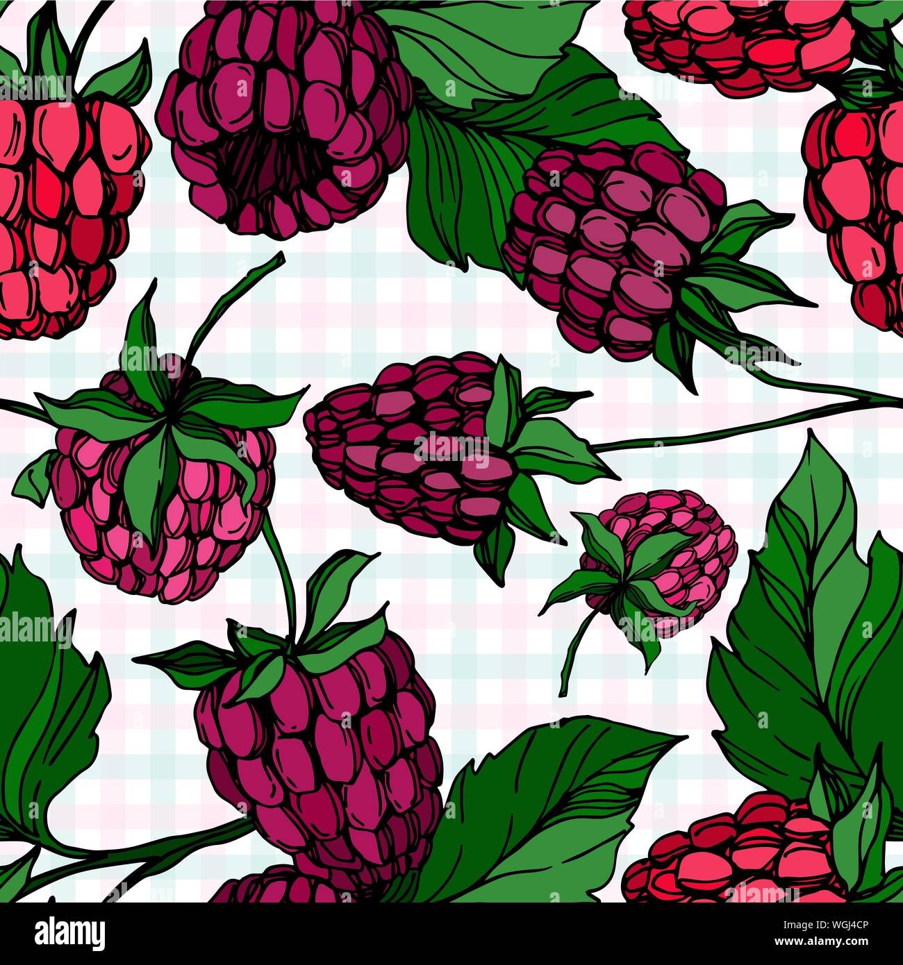 Vector Raspberry healthy food isolated. Black and white engraved ink ...