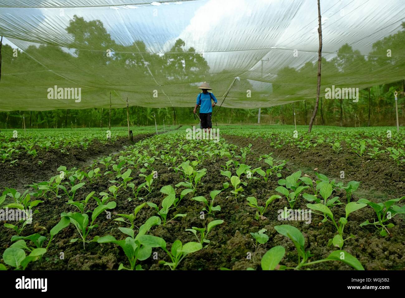 Farm crop spraying hi-res stock photography and images - Alamy