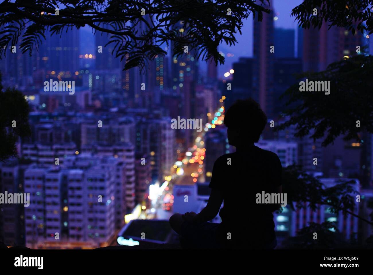 Person overlooking cityscape hi-res stock photography and images - Alamy