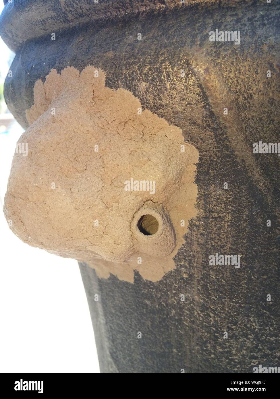 Column nest hi-res stock photography and images - Alamy