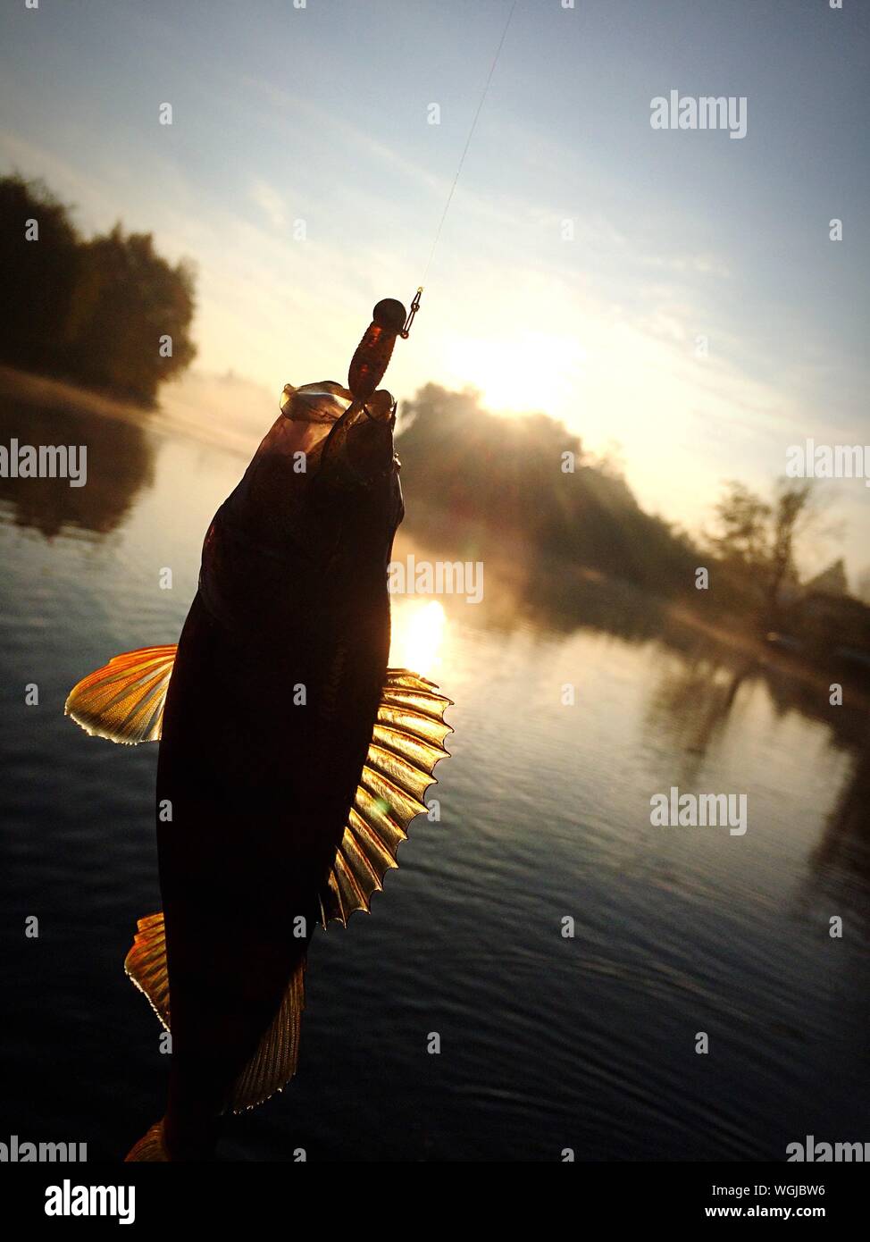 Fish on the hook hi-res stock photography and images - Alamy