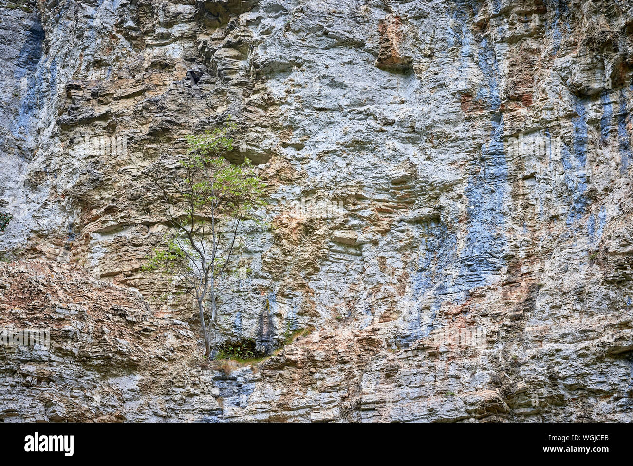 Cliff of Rock Background. Stone Mountain Texture Background Stock Photo ...