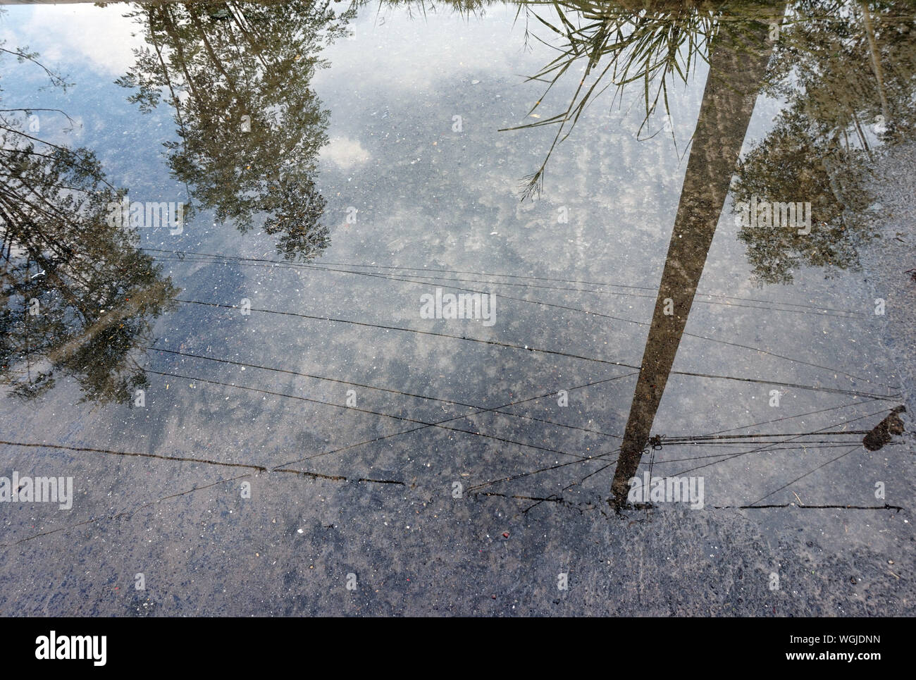 Pole reflection puddle hi-res stock photography and images - Alamy