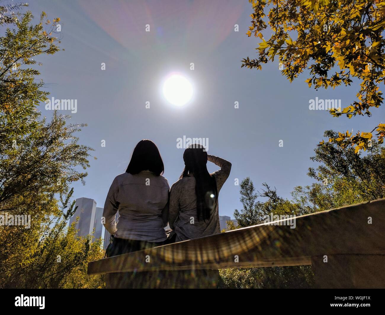 Los angeles park bench hi-res stock photography and images - Alamy