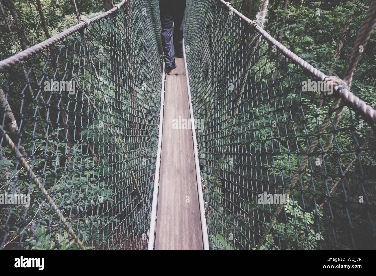 Canopy walking hi-res stock photography and images - Alamy