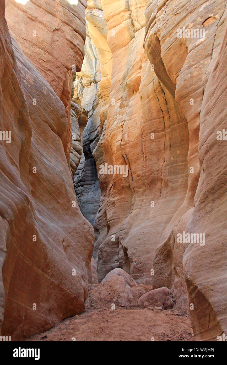 Bull gorge hi-res stock photography and images - Alamy