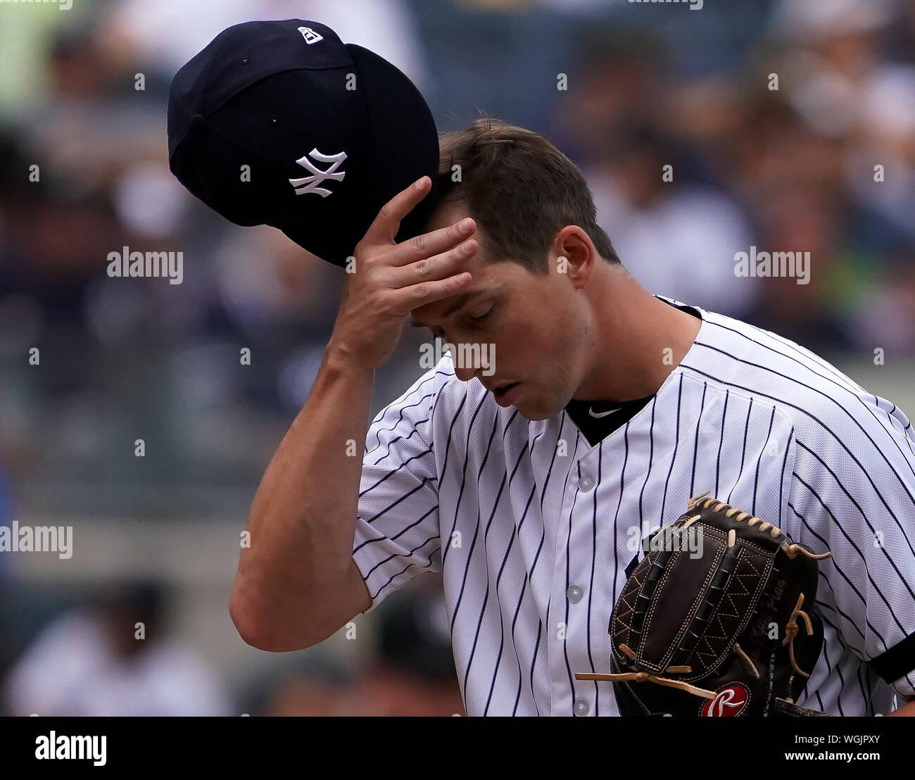 Ryan dull hi-res stock photography and images - Alamy