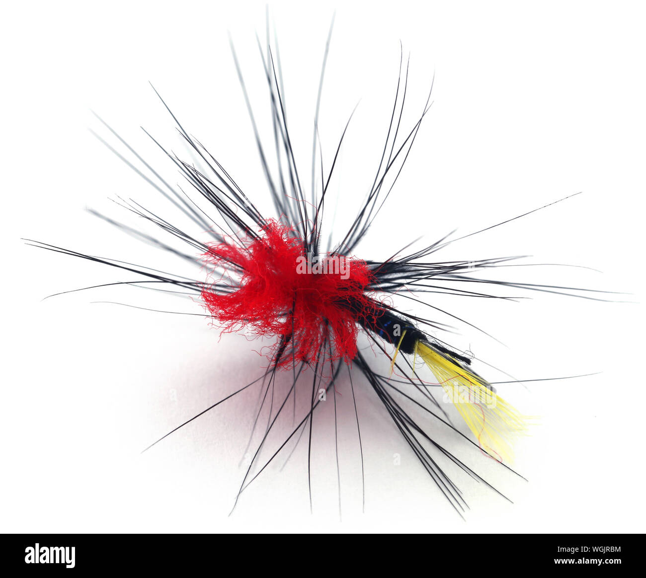 Fishing fly with hook over white background Stock Photo - Alamy