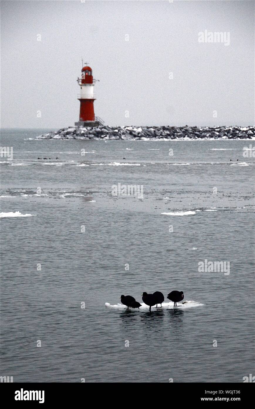 Waiting for sea ice hi-res stock photography and images - Alamy