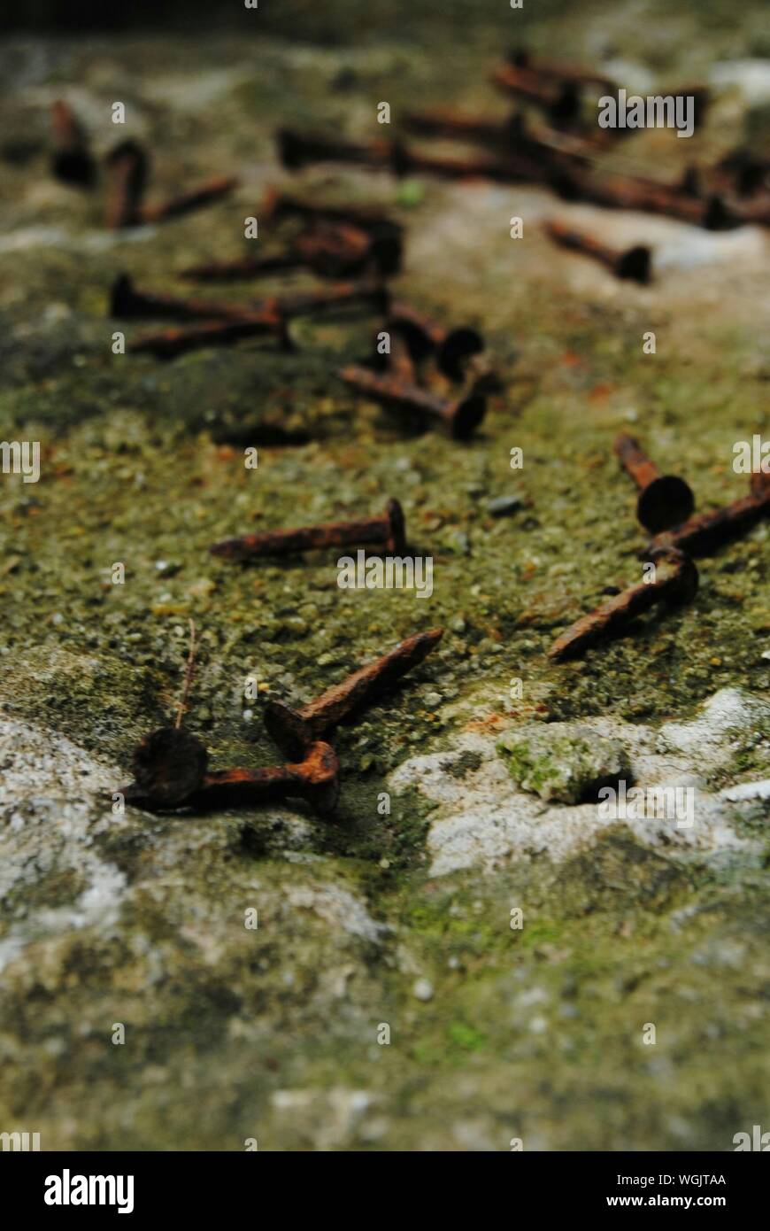 Ground nail hi-res stock photography and images - Alamy