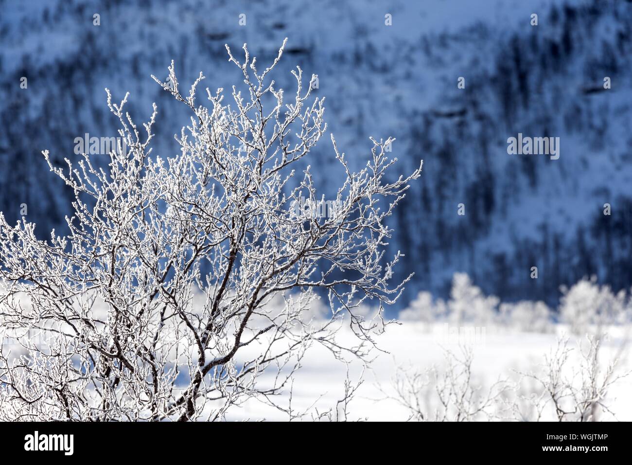 beautiful Norwegian landscape at the Lofoten Islands. Norway. winter ...