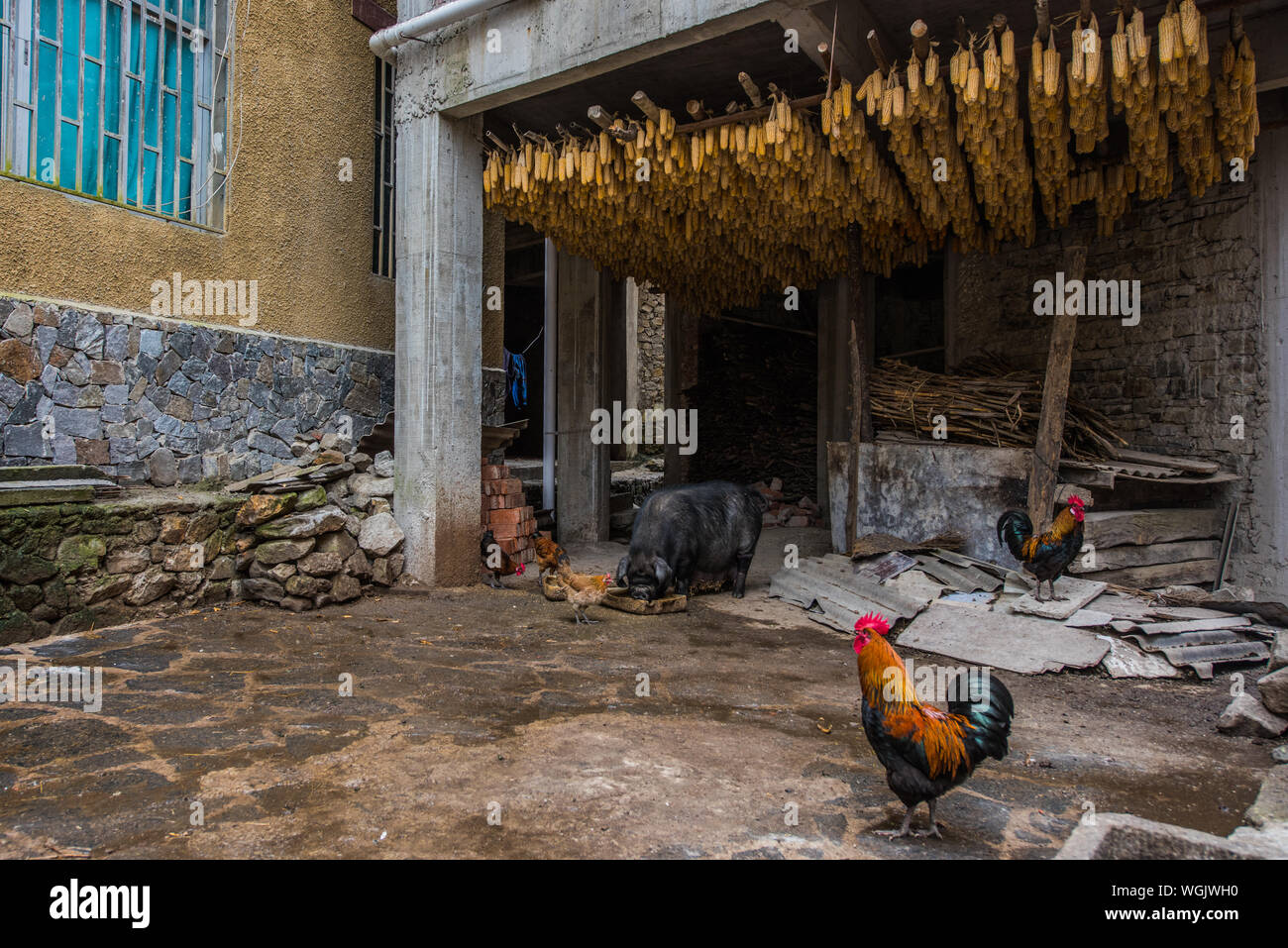 Corn House High Resolution Stock Photography and Images - Alamy