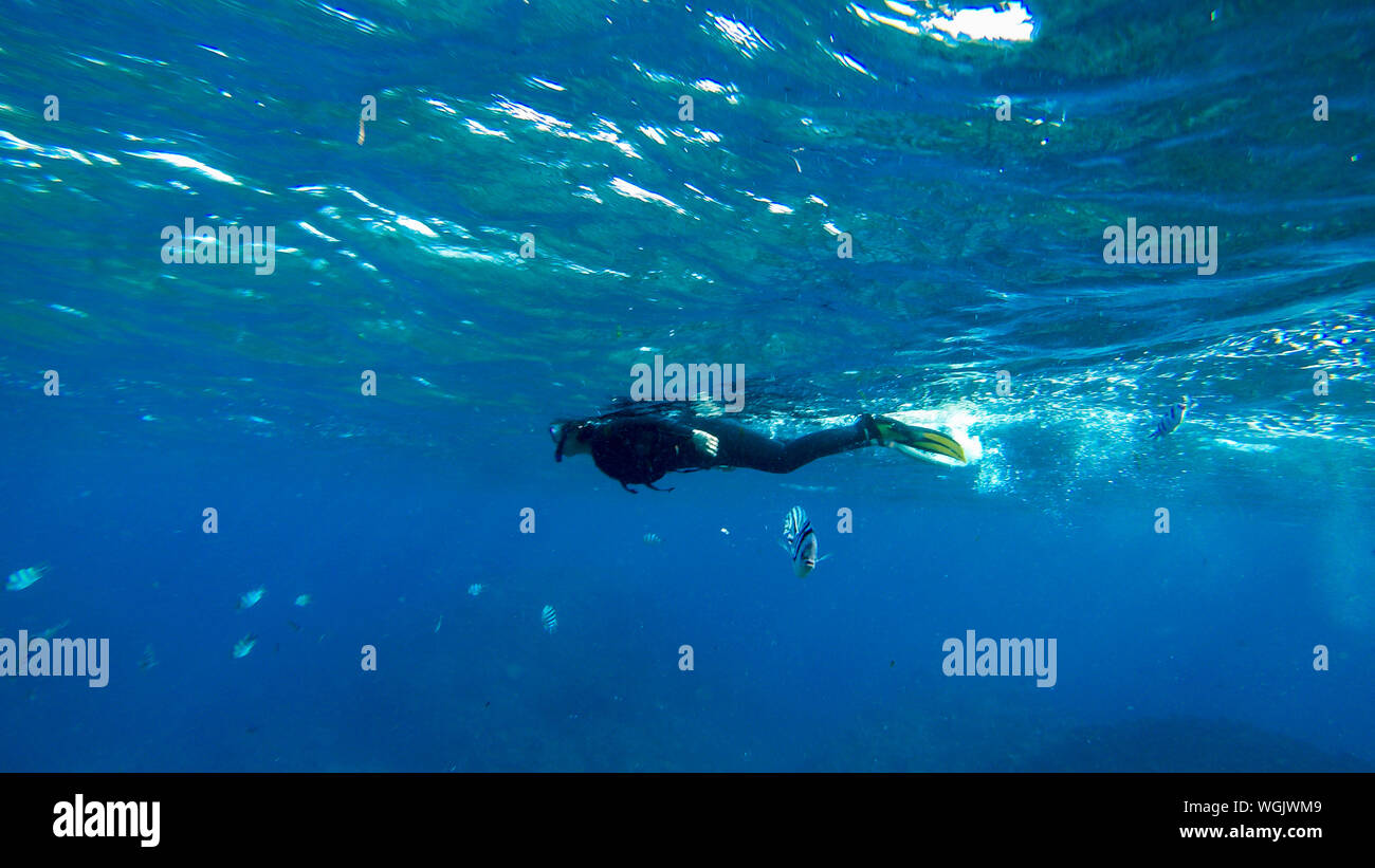 Japan Woman Diving High Resolution Stock Photography and Images - Alamy