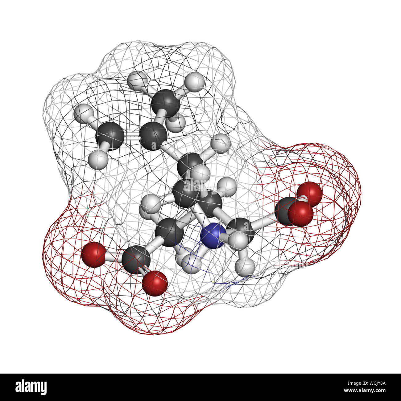 Kainic acid molecule. Direct agonist of the glutamic kainate receptors ...