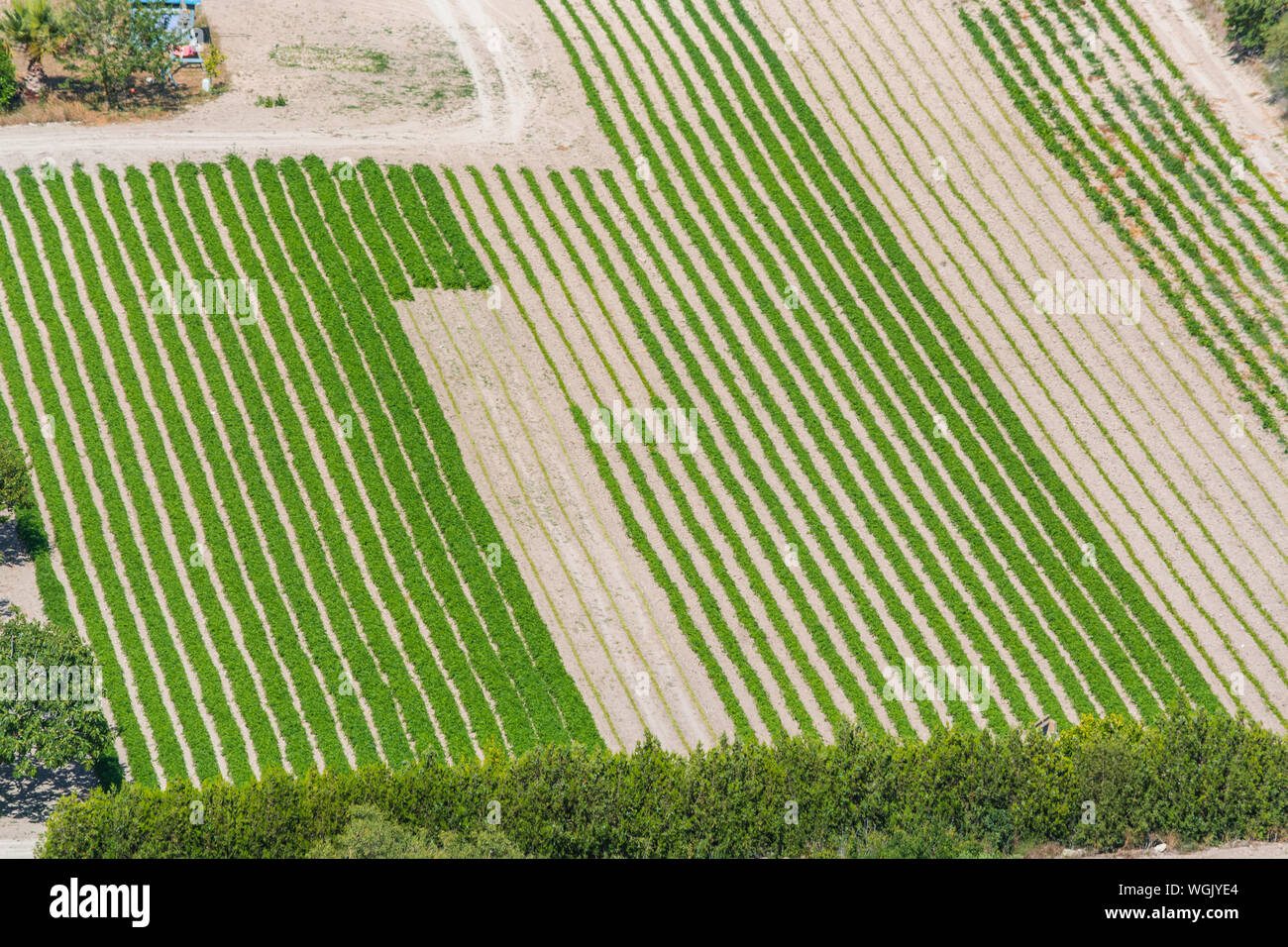 Grass green image hi-res stock photography and images - Alamy