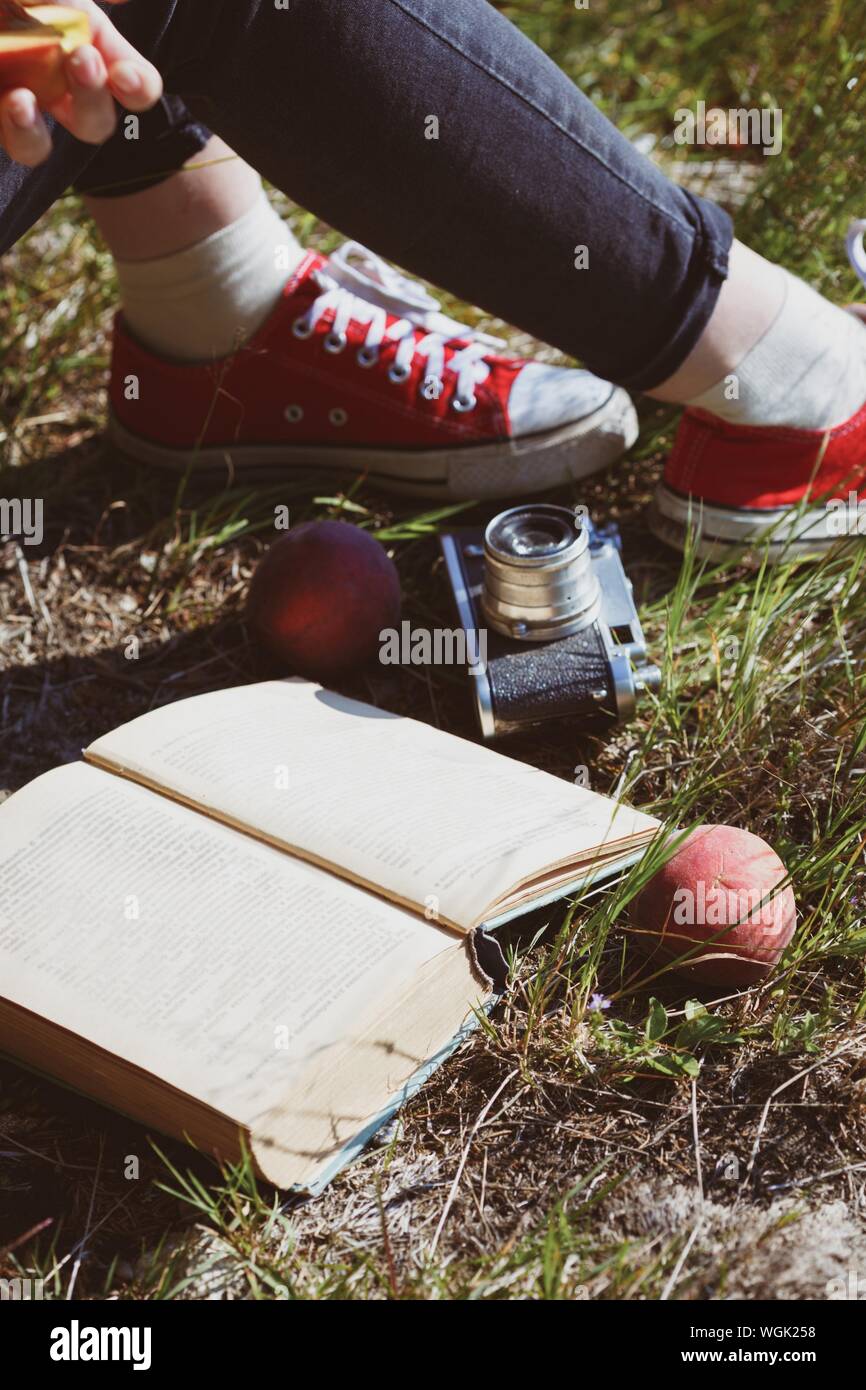 Summer - picnic in the meadow. girl on a picnic. legs in sneakers, book ...
