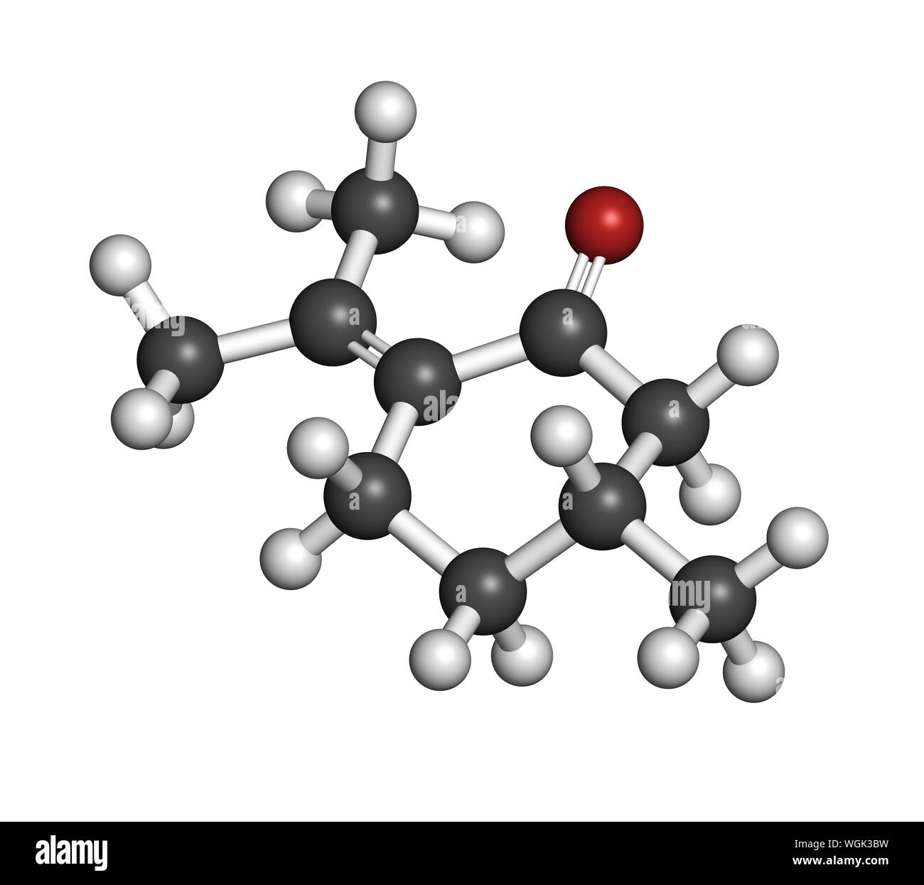 Pulegone molecule. 3D rendering. Atoms are represented as spheres with ...