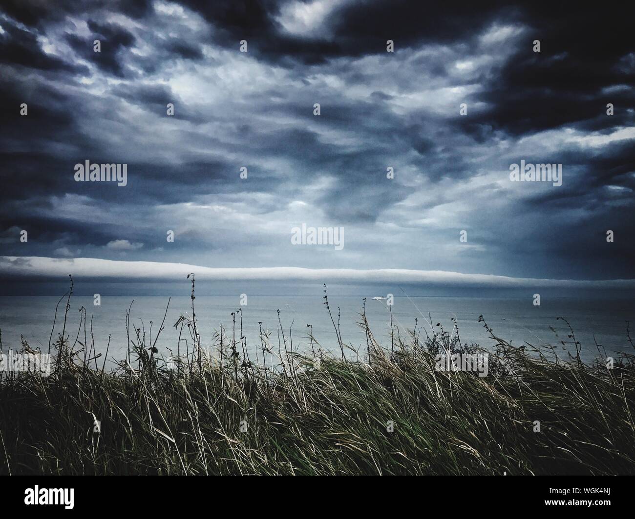Sea Whitehead High Resolution Stock Photography and Images - Alamy