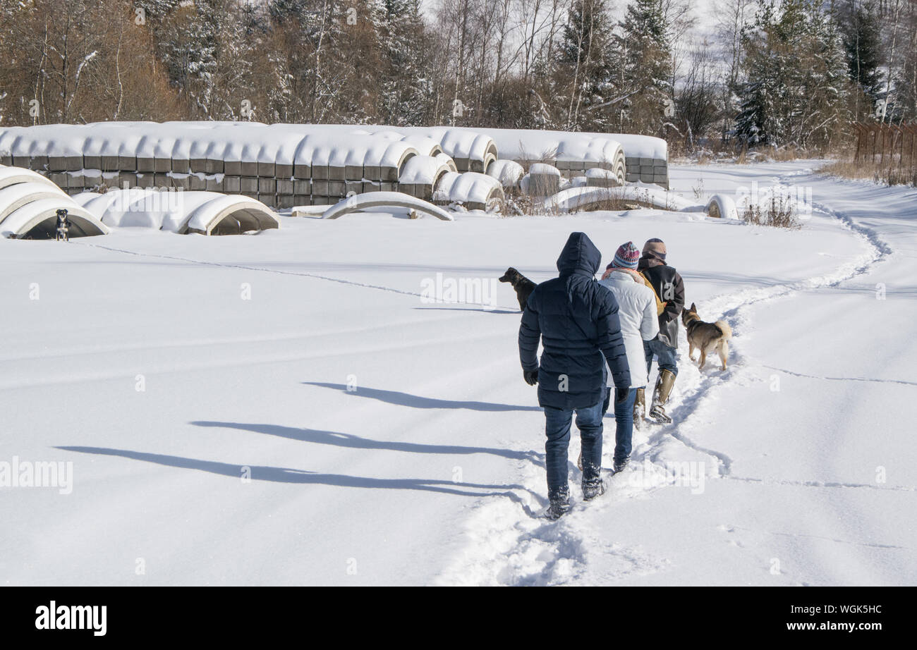 Men with dog sled hi-res stock photography and images - Alamy