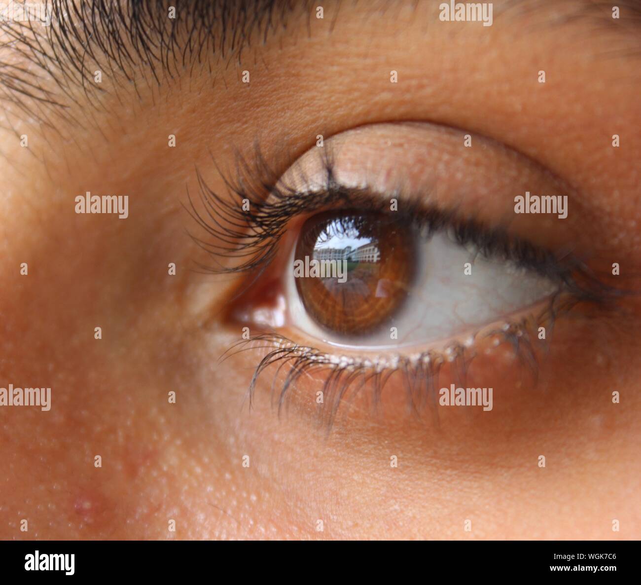 The human eye hi-res stock photography and images - Alamy