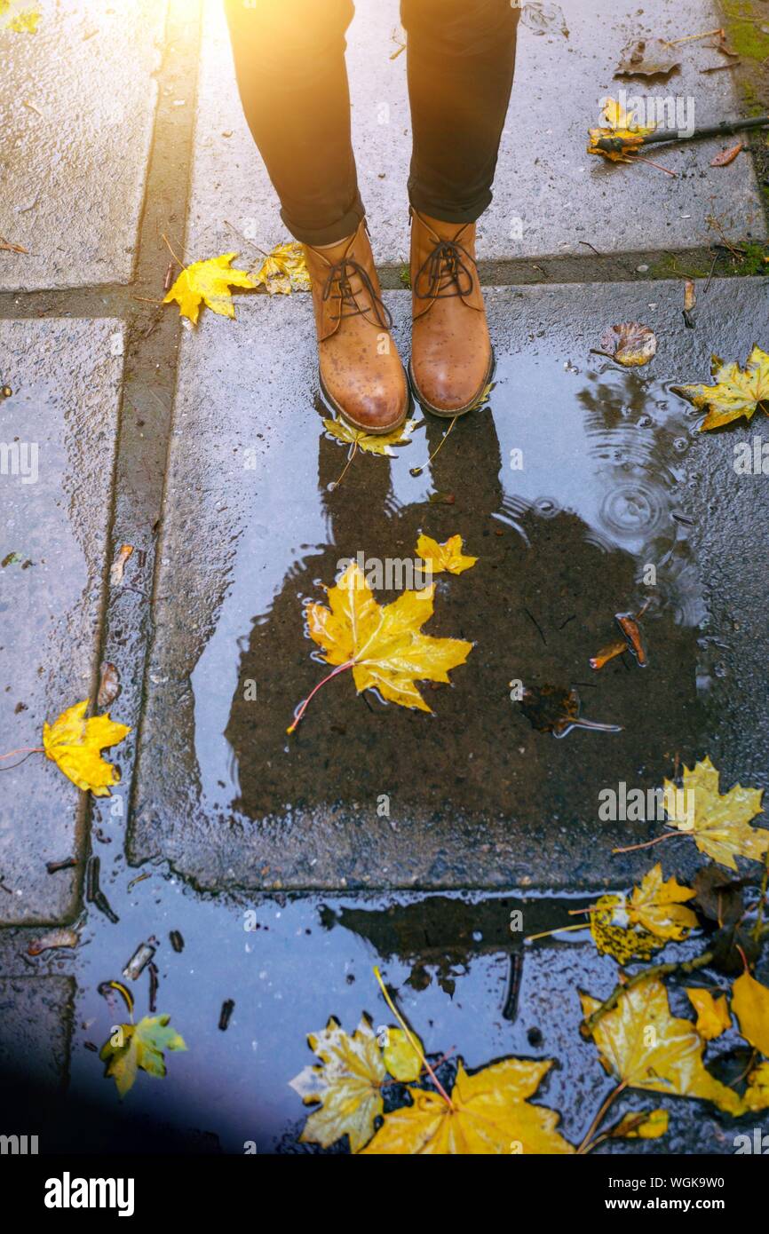 autumn mood - feet in boots against a background of colorful maple ...