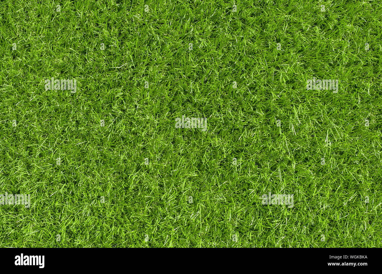 Green grass background texture. Top view Stock Photo - Alamy