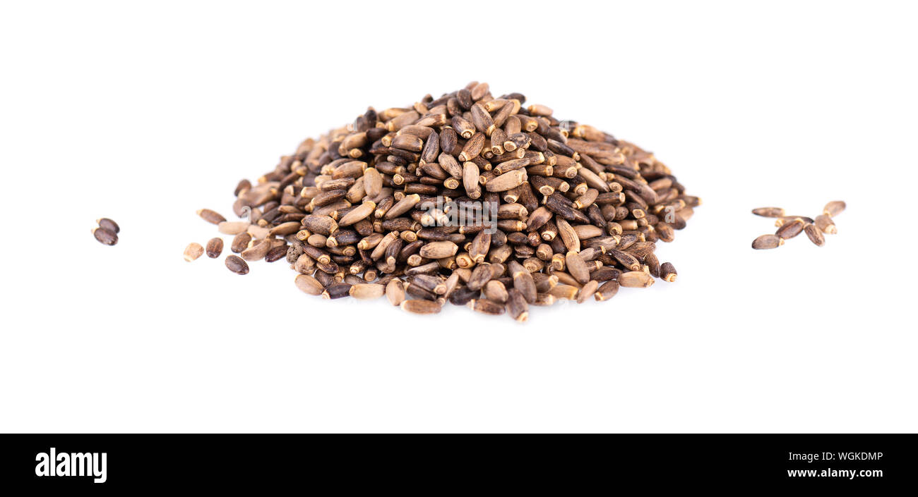 Thistle seed hi-res stock photography and images - Alamy