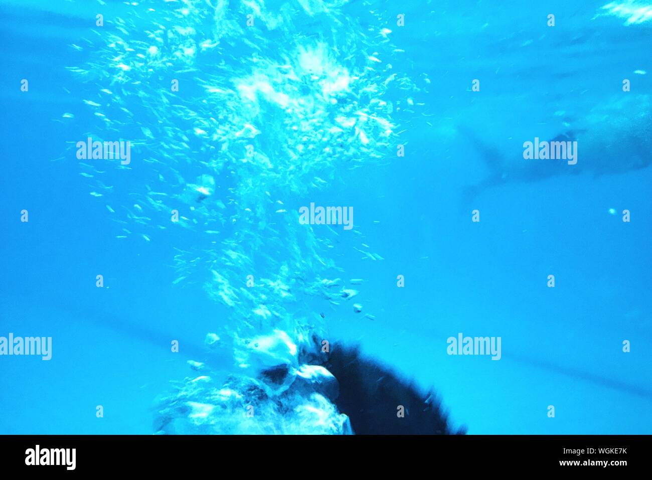 Bubbles swimming pool hi-res stock photography and images - Alamy