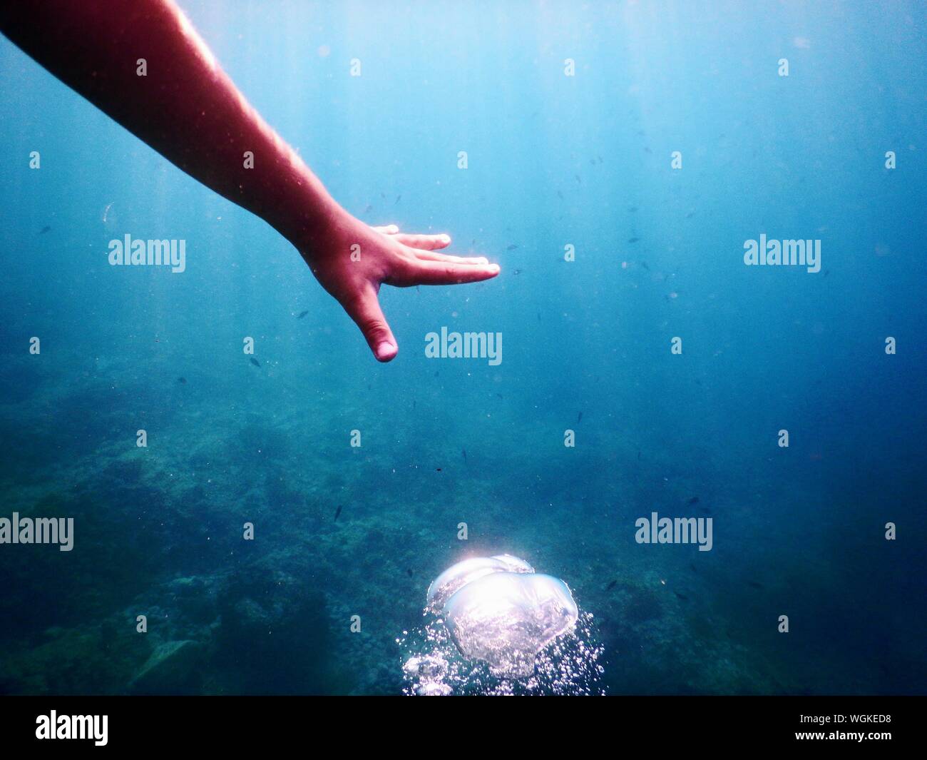 Hand reaching up underwater hi-res stock photography and images - Alamy