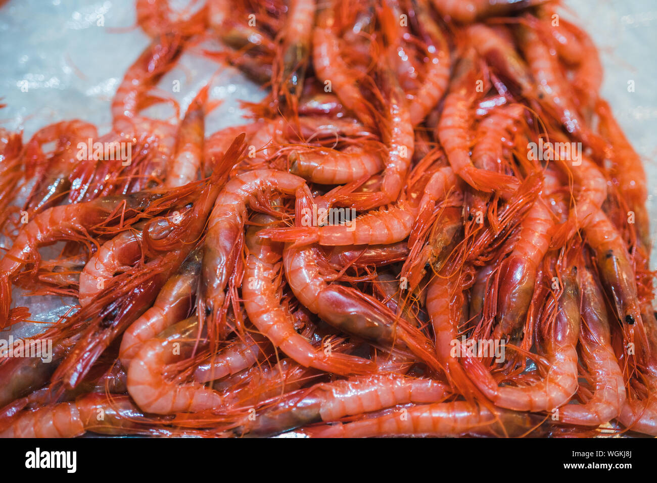 Garrucha fish market hi-res stock photography and images - Alamy