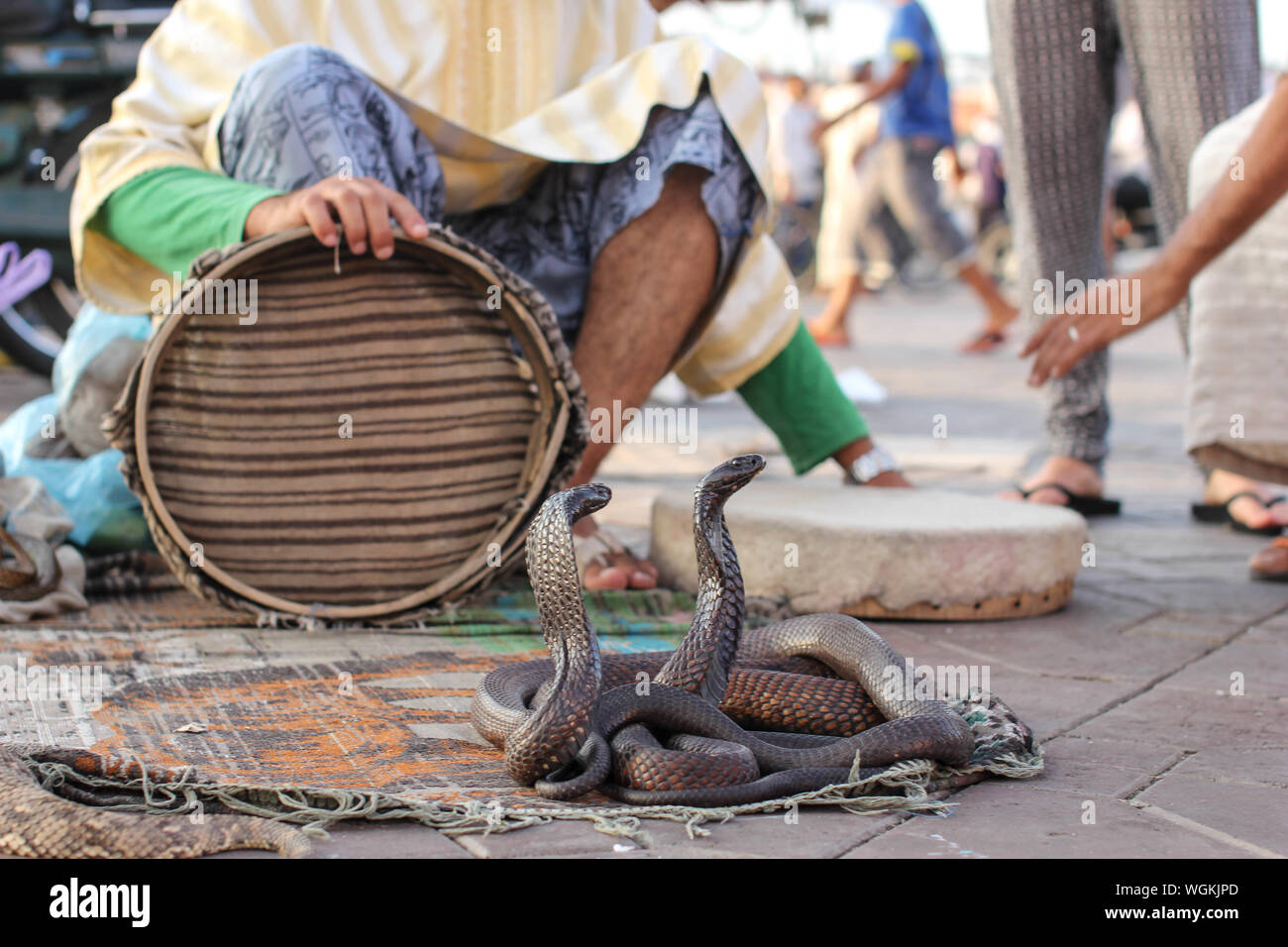Basket for snakes hi-res stock photography and images - Alamy