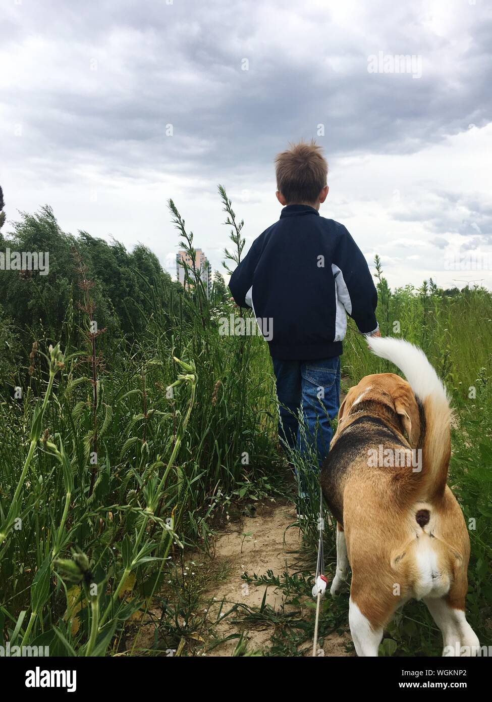Boy walking with his dog hi-res stock photography and images - Alamy
