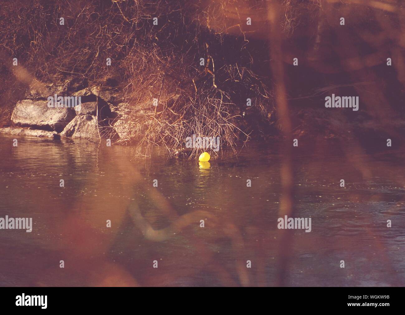 Balloon floating in water hi-res stock photography and images - Alamy