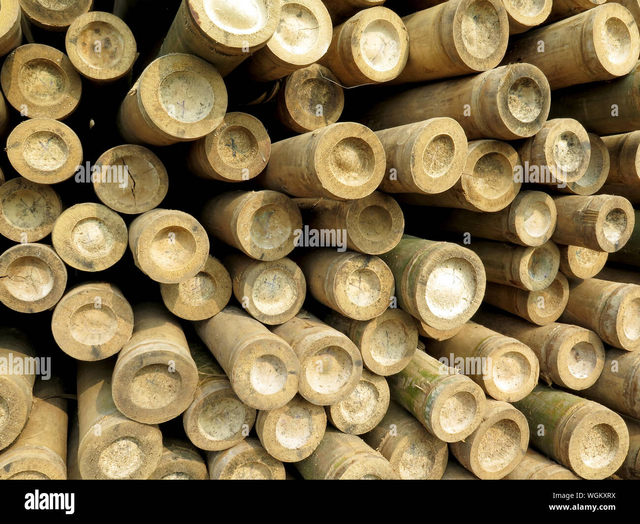 Bamboo logs hi-res stock photography and images - Alamy