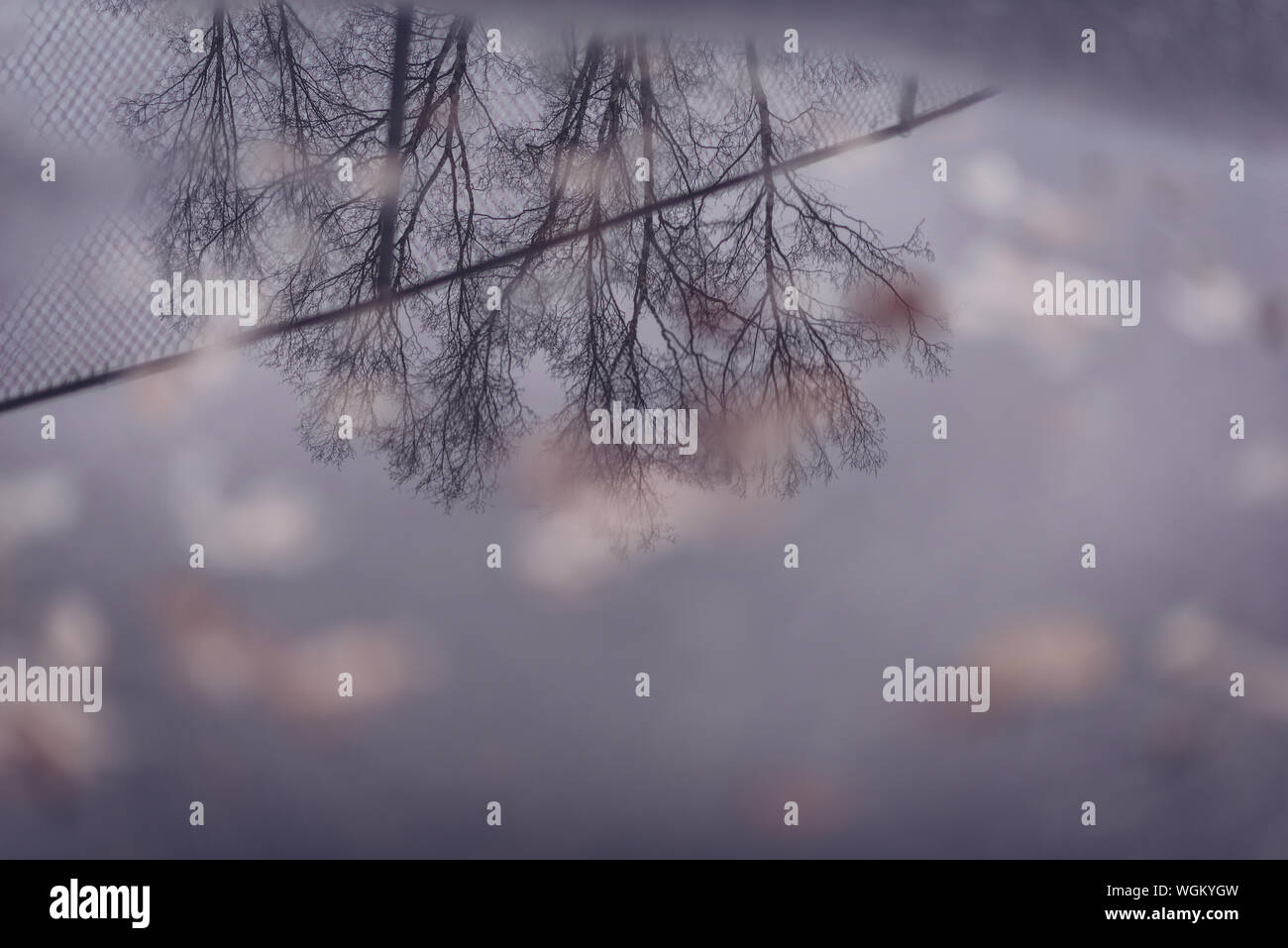 Tennis Puddle High Resolution Stock Photography and Images - Alamy