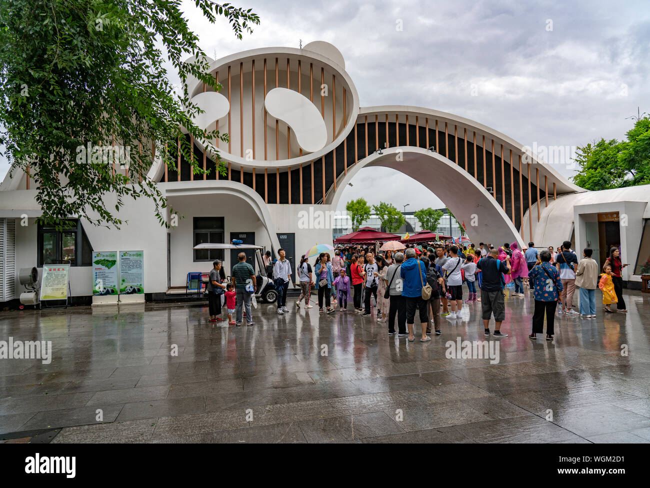 Chengdu panda breeding and research center hi-res stock photography and ...