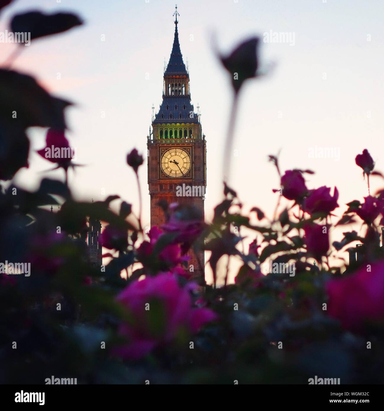 Big pink building hi-res stock photography and images - Alamy