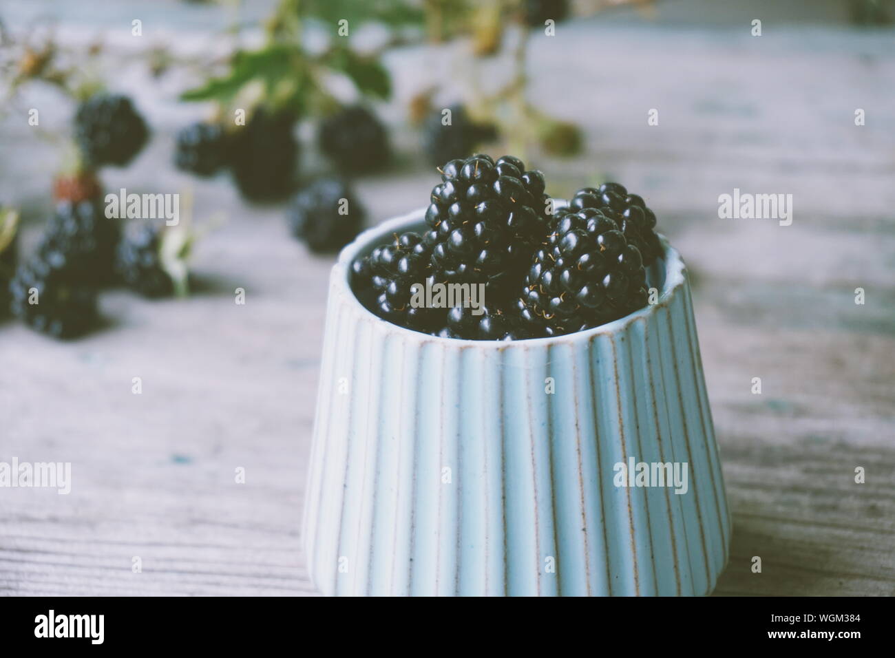 Container of blackberries hi-res stock photography and images - Alamy