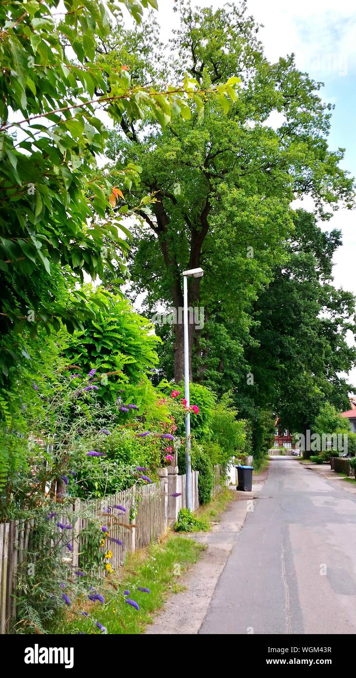 Empty tree branch hi-res stock photography and images - Alamy