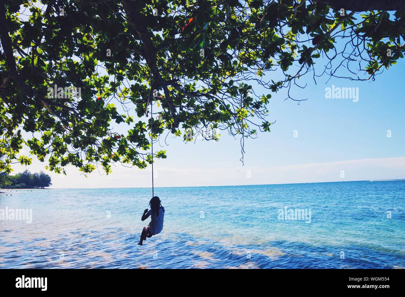 Tree Over Water Rope Swing High Resolution Stock Photography and Images ...