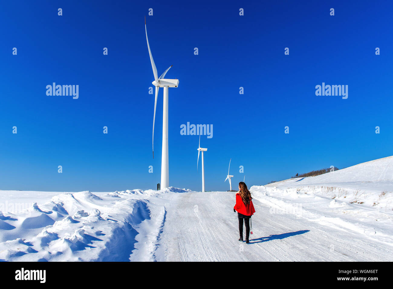 Indian Wind Energy Turbines High Resolution Stock Photography and ...