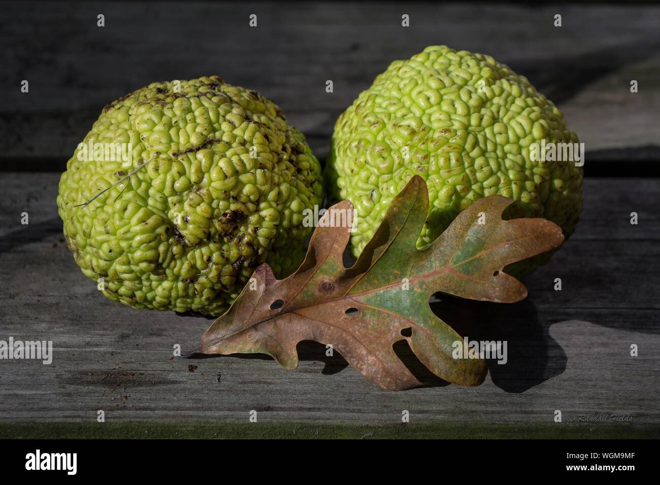 Fruits with leaf hi-res stock photography and images - Alamy