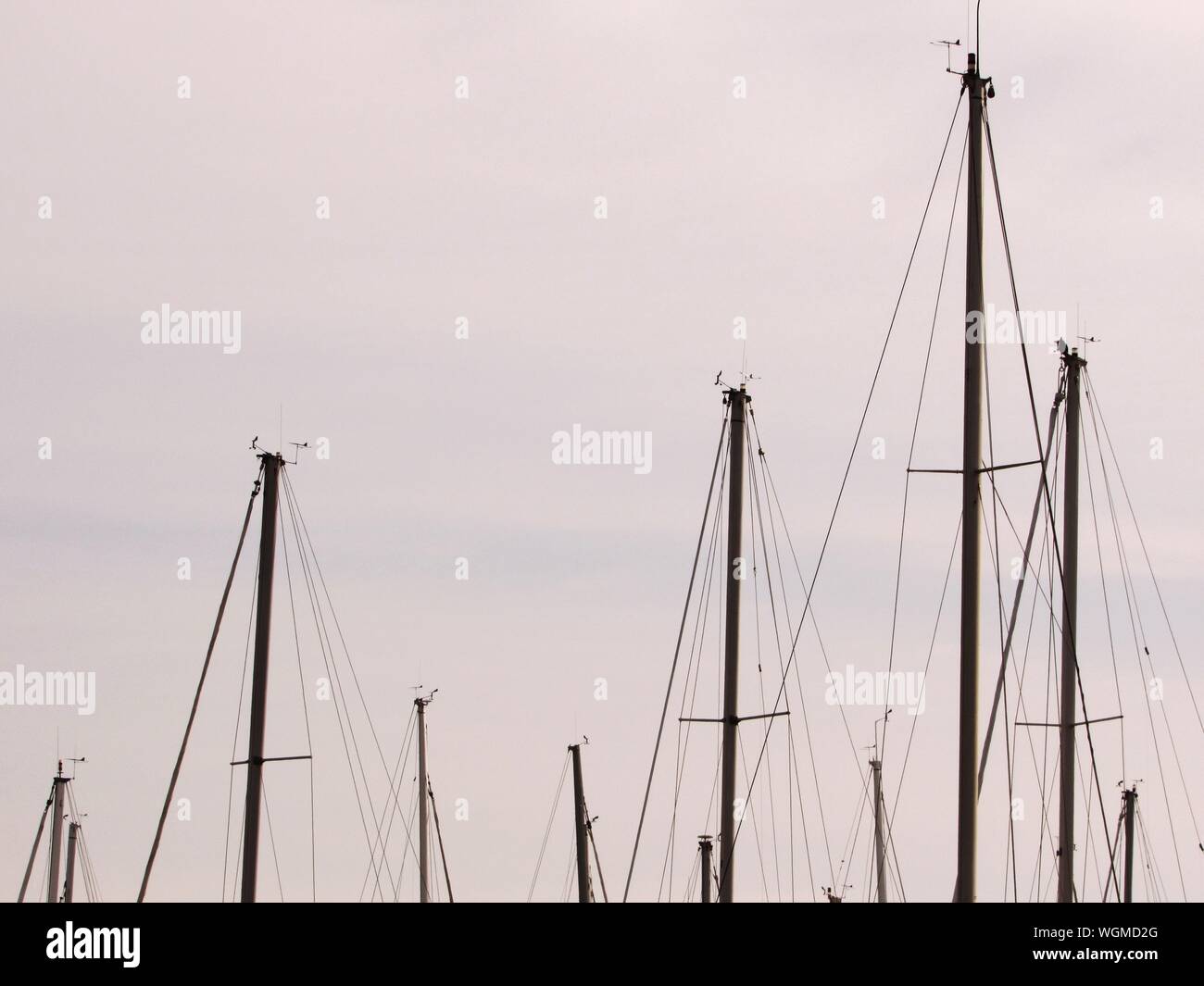 Black Masts High Resolution Stock Photography and Images - Alamy